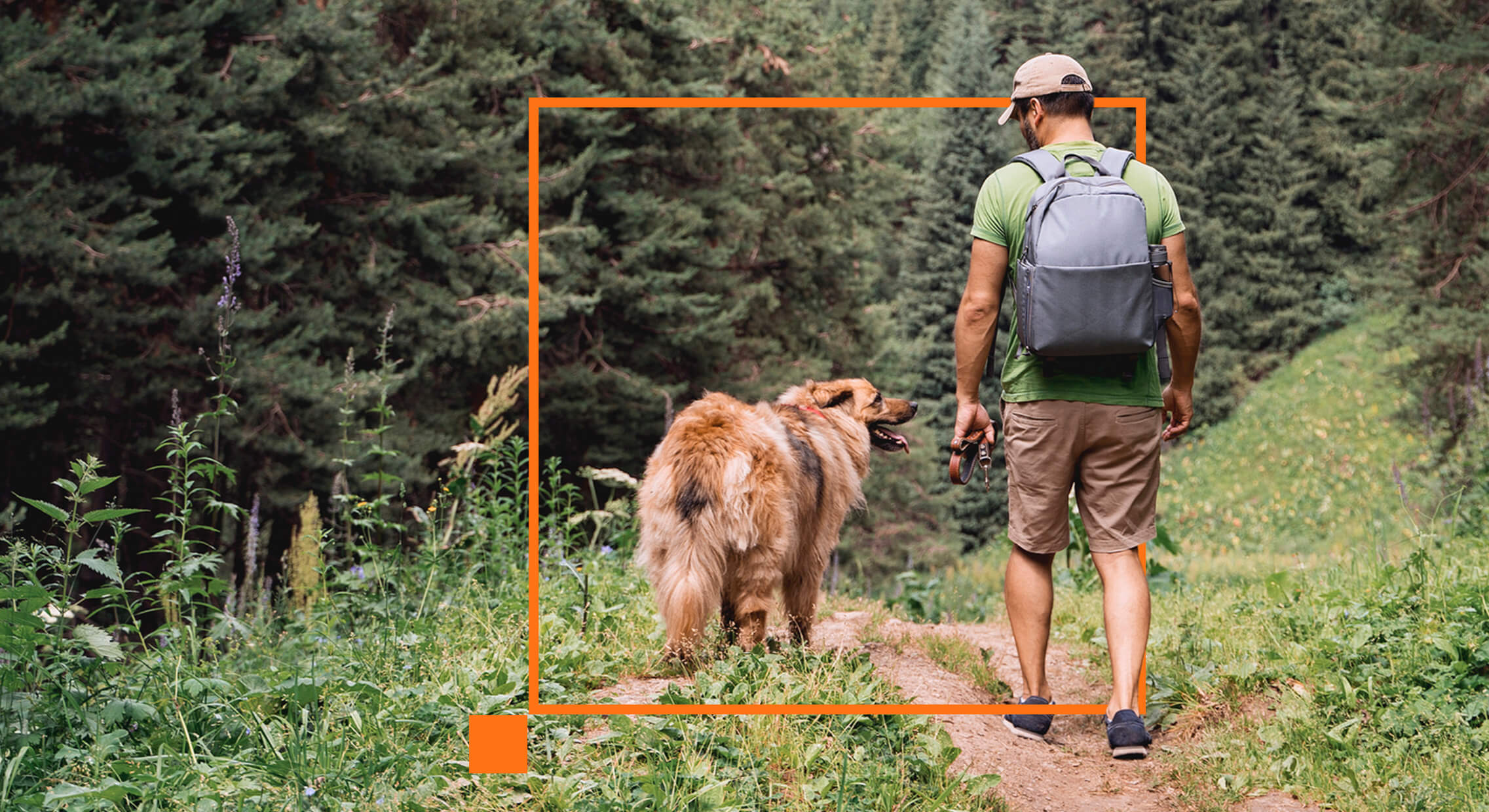 The Benefits of an Off Leash Dog Hike - Modded