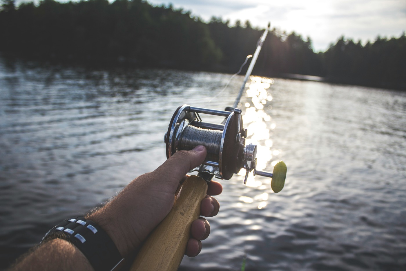 10 Great Fishing Poles for Beginners - Modded
