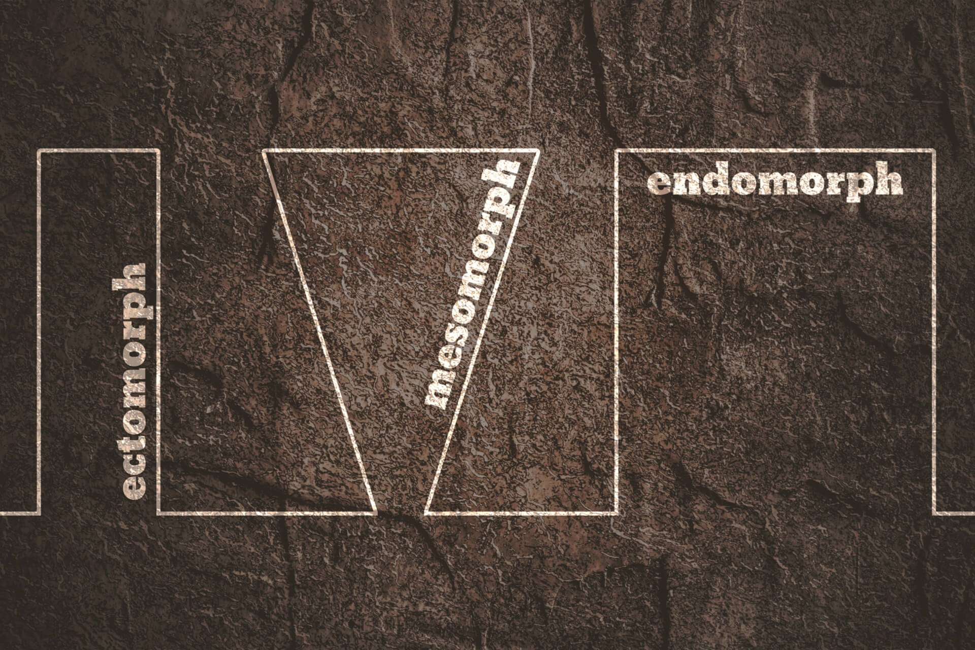 Guide to Male Body Types: Ectomorph, Mesomorph, Endomorph - Modded