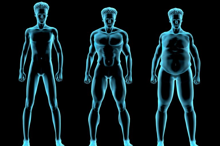 Guide to Male Body Types: Ectomorph, Mesomorph, Endomorph - Modded