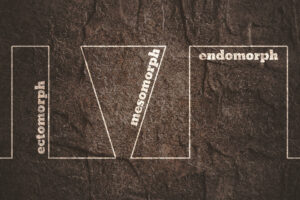 Guide to Male Body Types: Ectomorph, Mesomorph, Endomorph - Modded